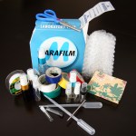 Know-how: Decanting, Labeling, Packing and Shipping – Undina's Looking ...